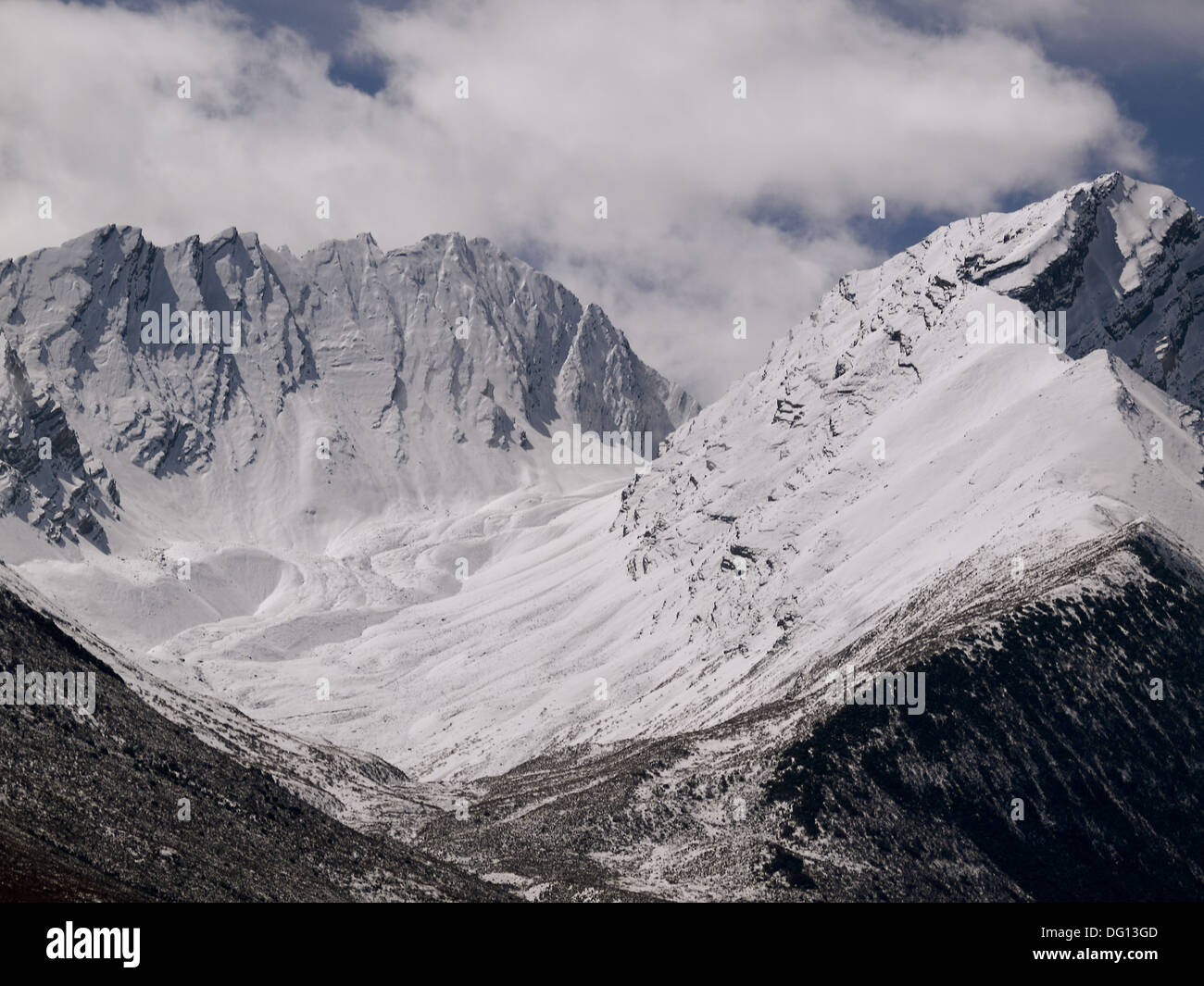 Trola hi-res stock photography and images - Alamy