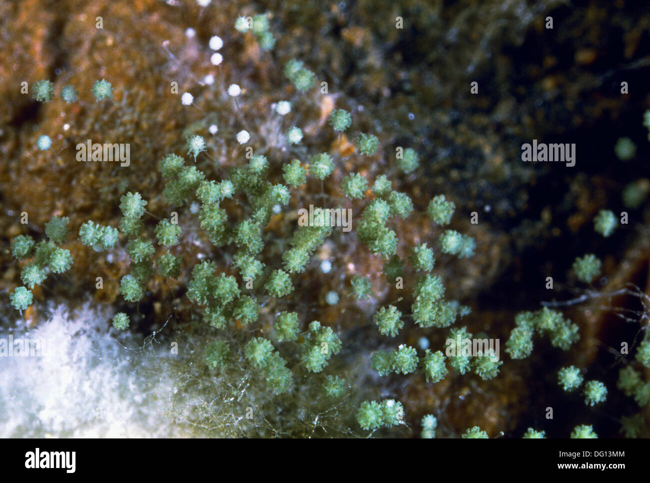 Surface division hi-res stock photography and images - Alamy