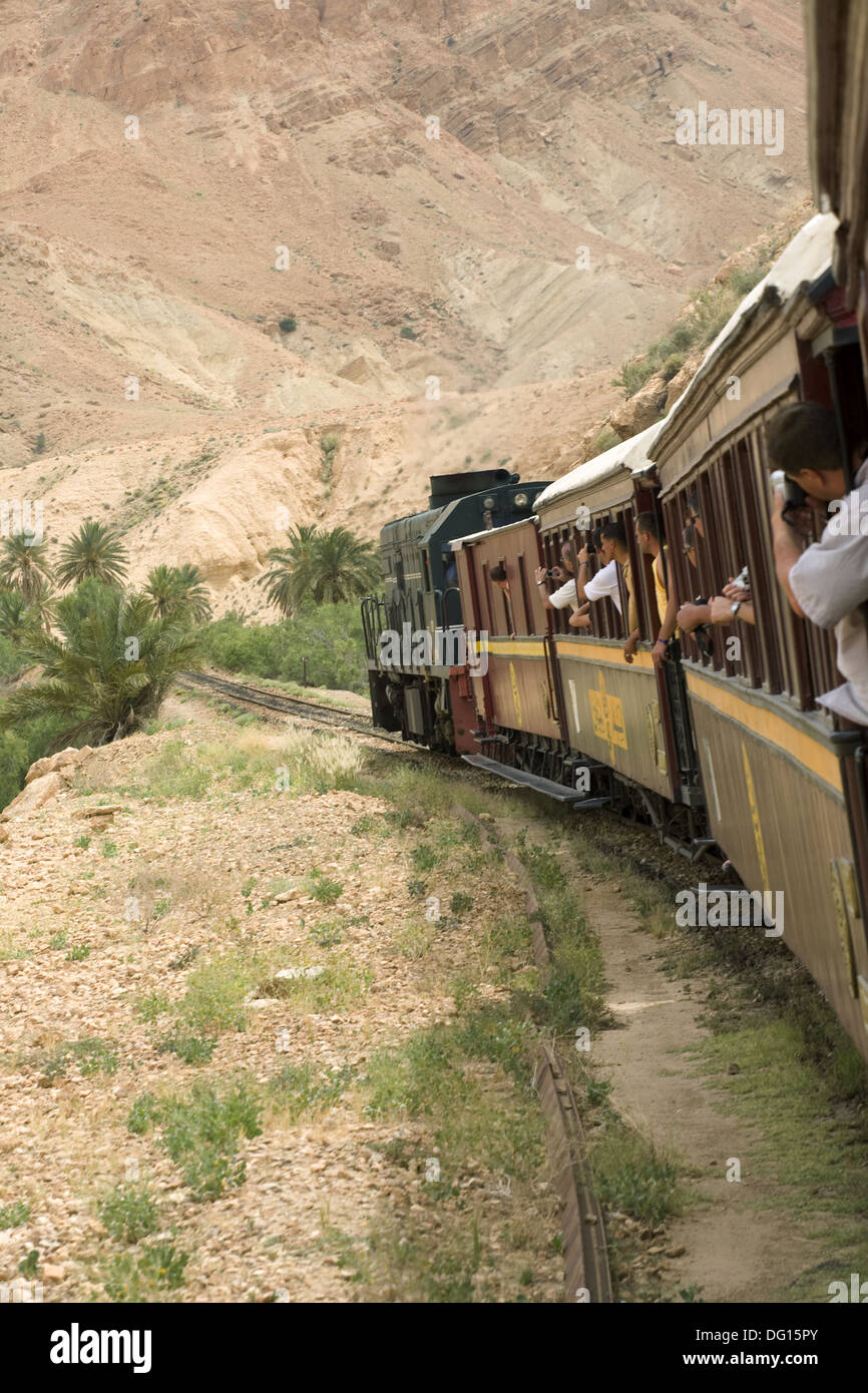 Lezard rouge hi-res stock photography and images - Alamy