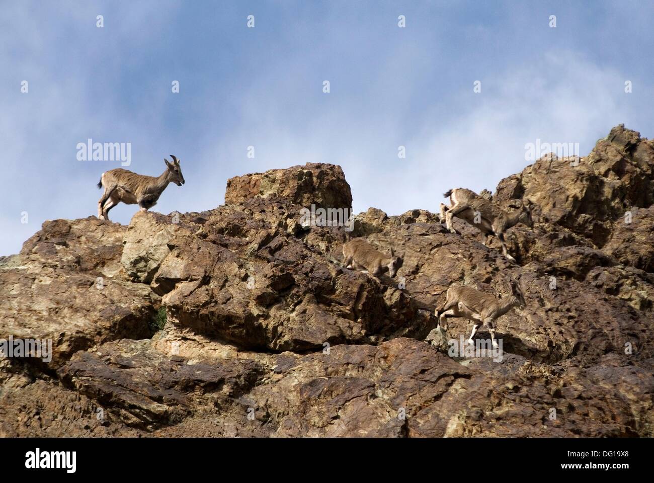 Barhal hi-res stock photography and images - Alamy