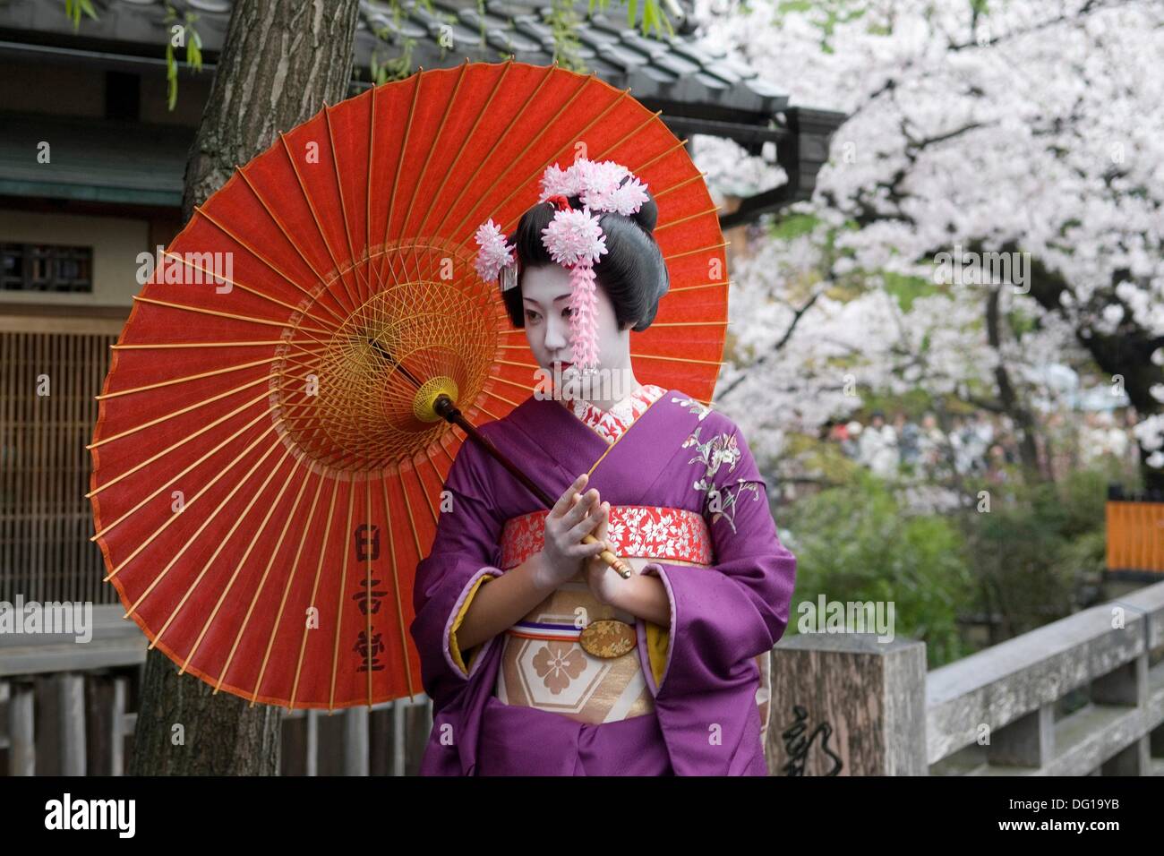 Geisha Parasol High Resolution Stock Photography and Images - Alamy