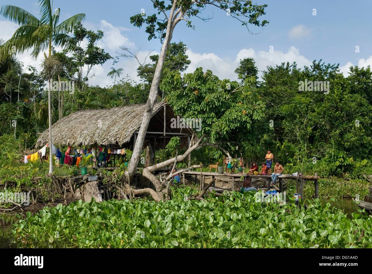 Warao On High Resolution Stock Photography and Images - Alamy