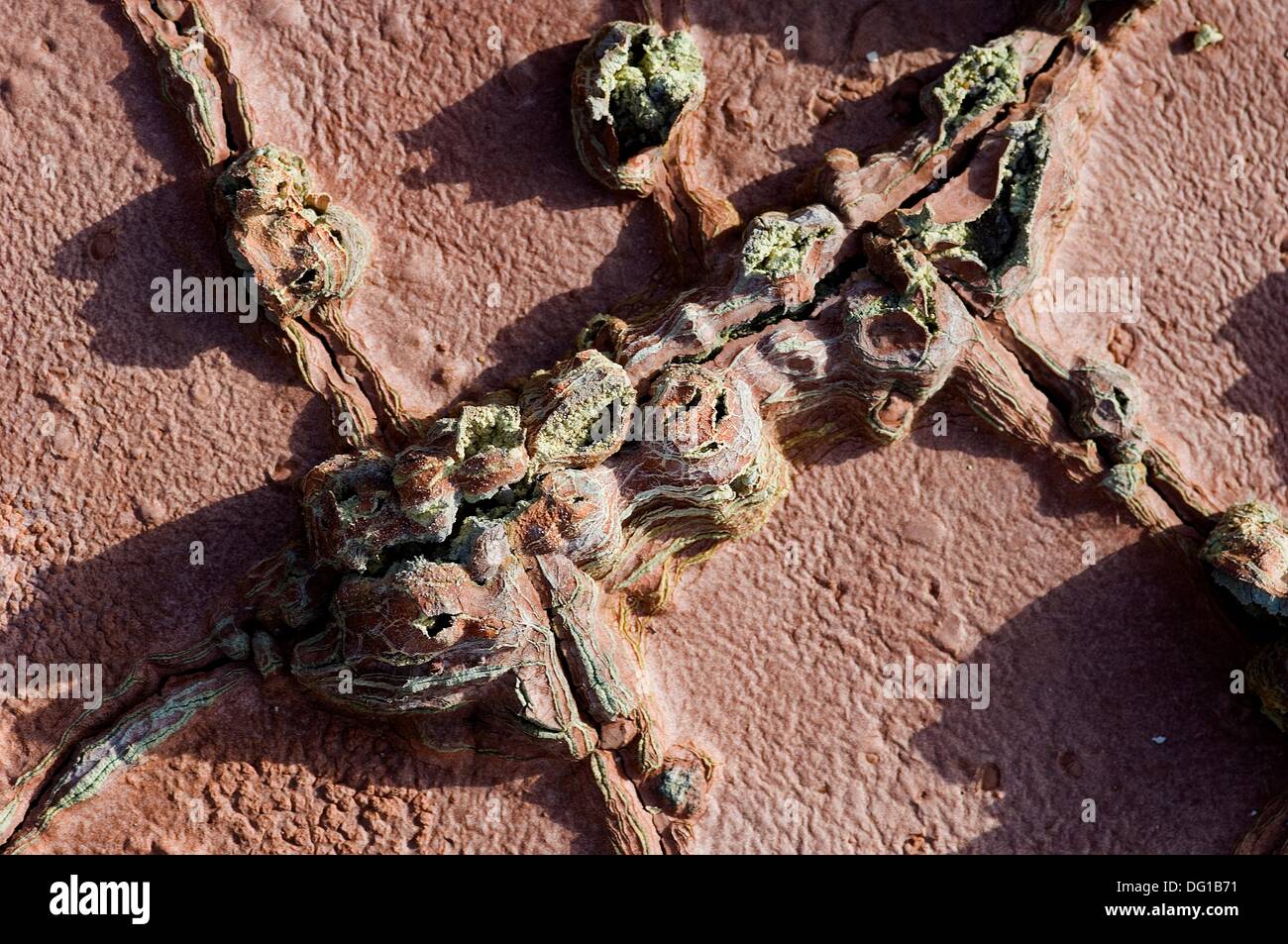 Yellow sludge hi-res stock photography and images - Alamy