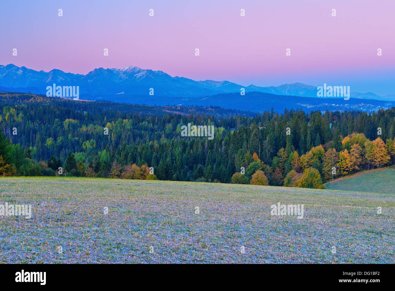 Tatra mountains trees hi-res stock photography and images - Alamy