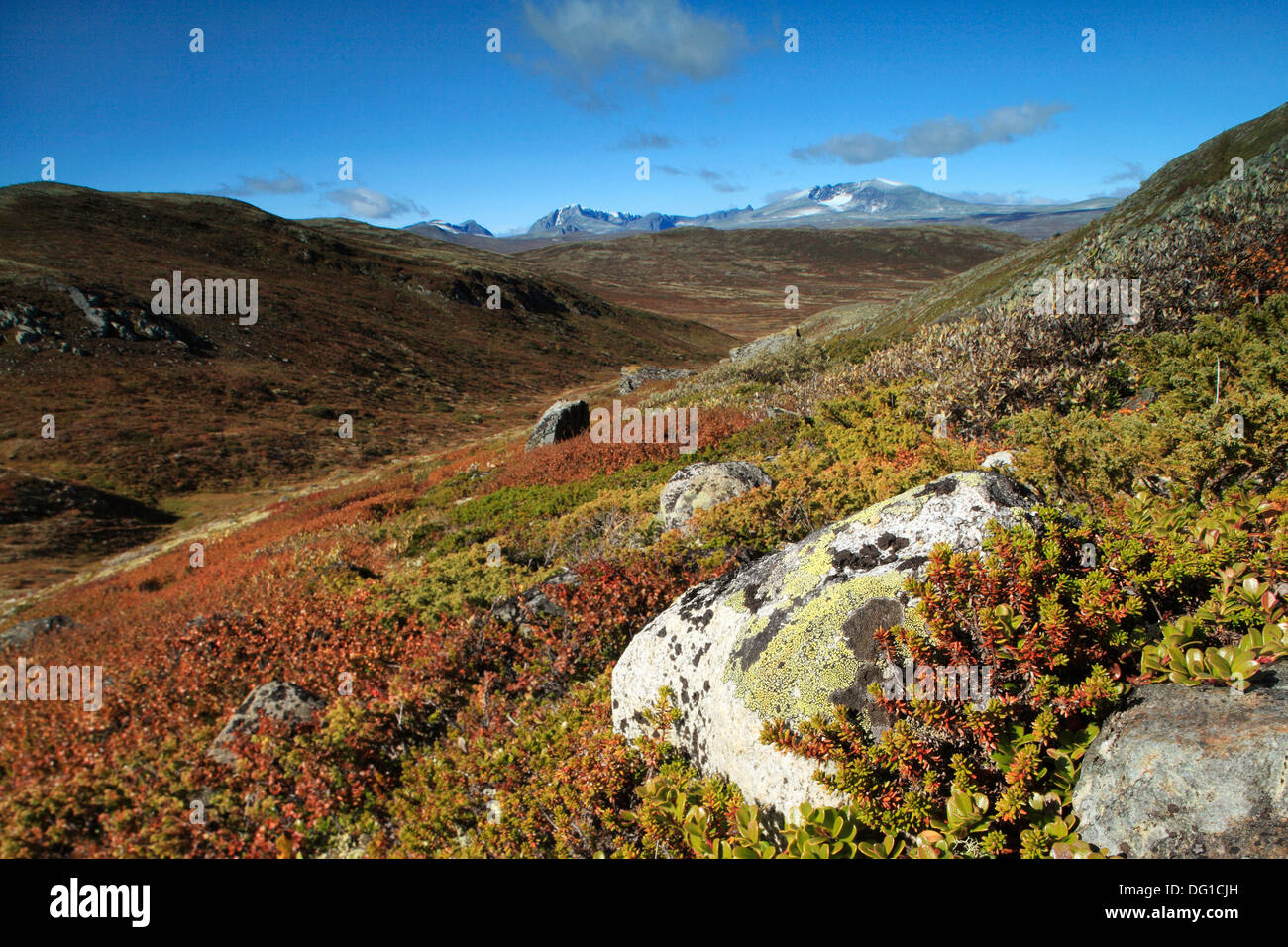 Snohetta Stock Photos & Snohetta Stock Images - Alamy