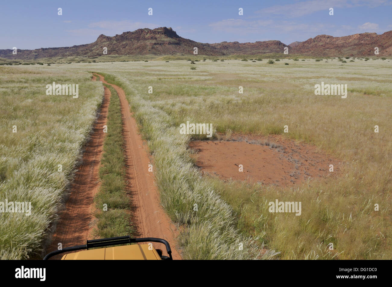 Namibia fairy circle hi-res stock photography and images - Alamy
