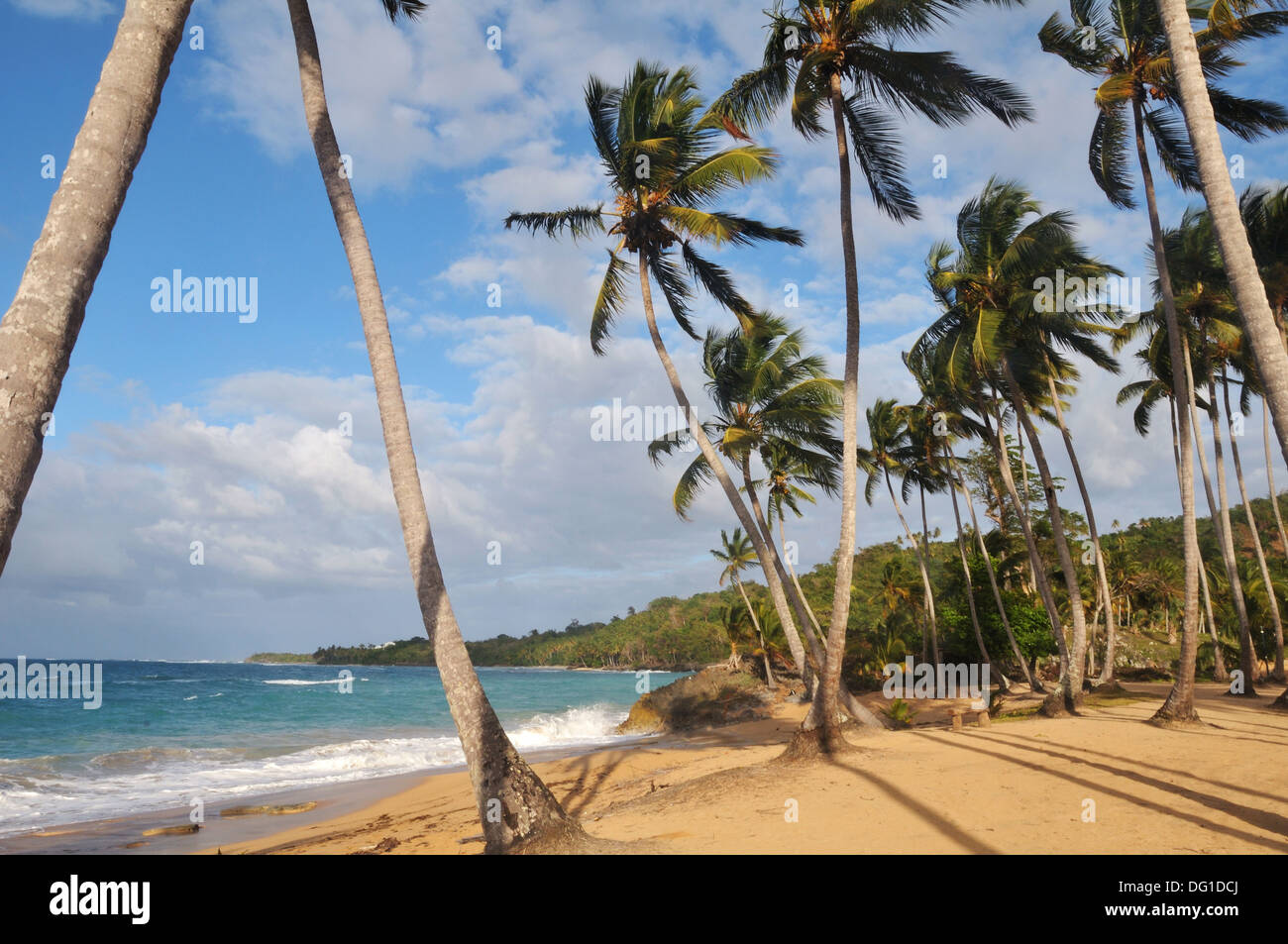 Playa Colorada beach, Samana, Dominican Republic Stock Photo - Alamy