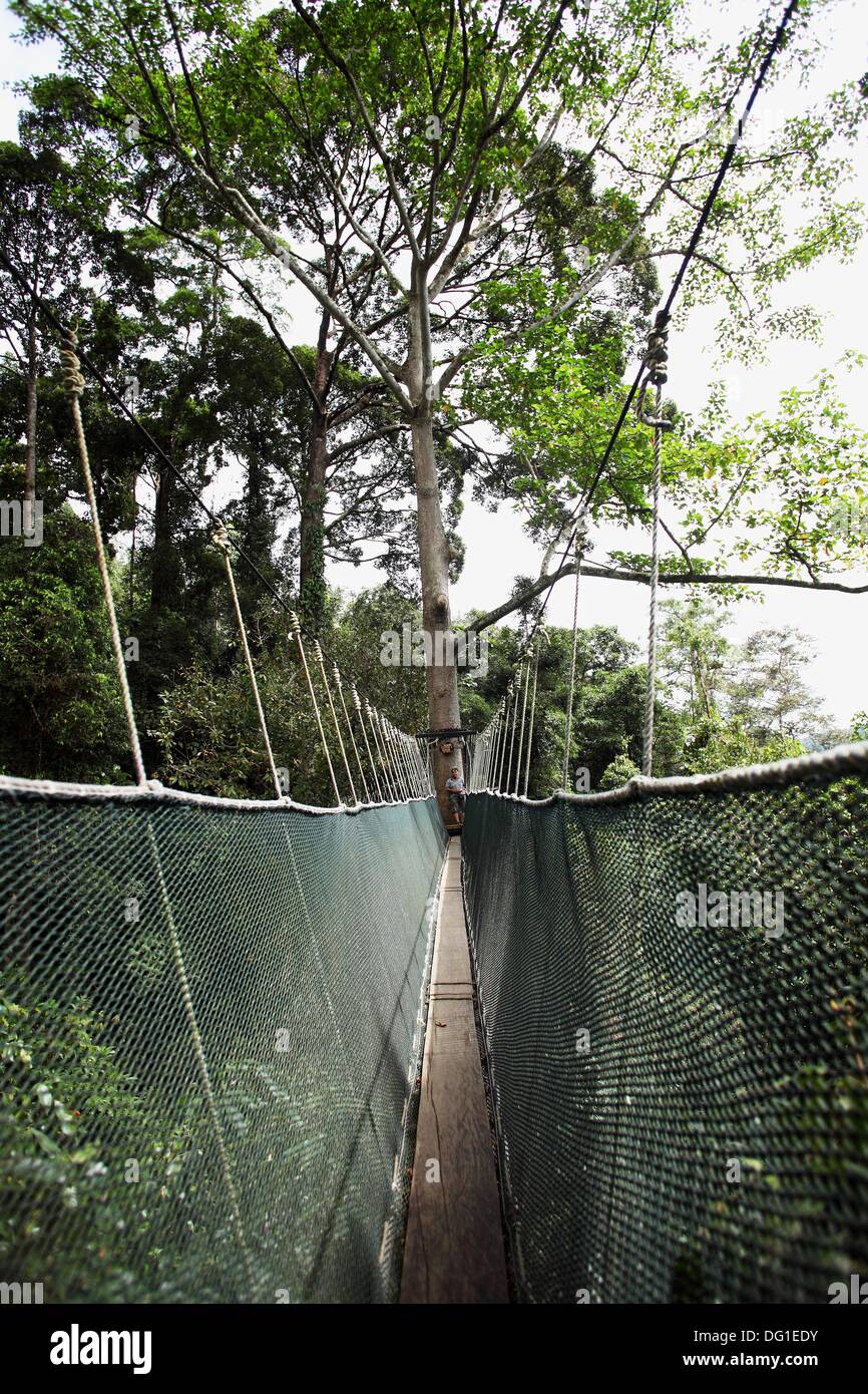 Poring hot springs in sabah hi-res stock photography and images - Alamy