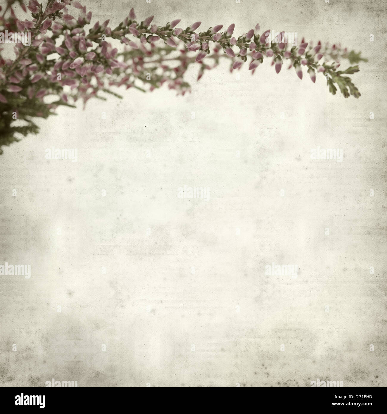 textured old paper background with heather Stock Photo - Alamy