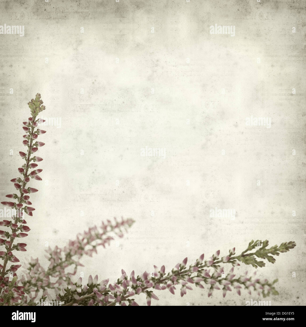 textured old paper background with heather Stock Photo - Alamy