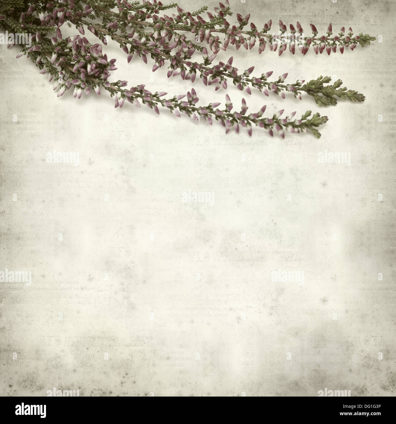 textured old paper background with heather Stock Photo - Alamy