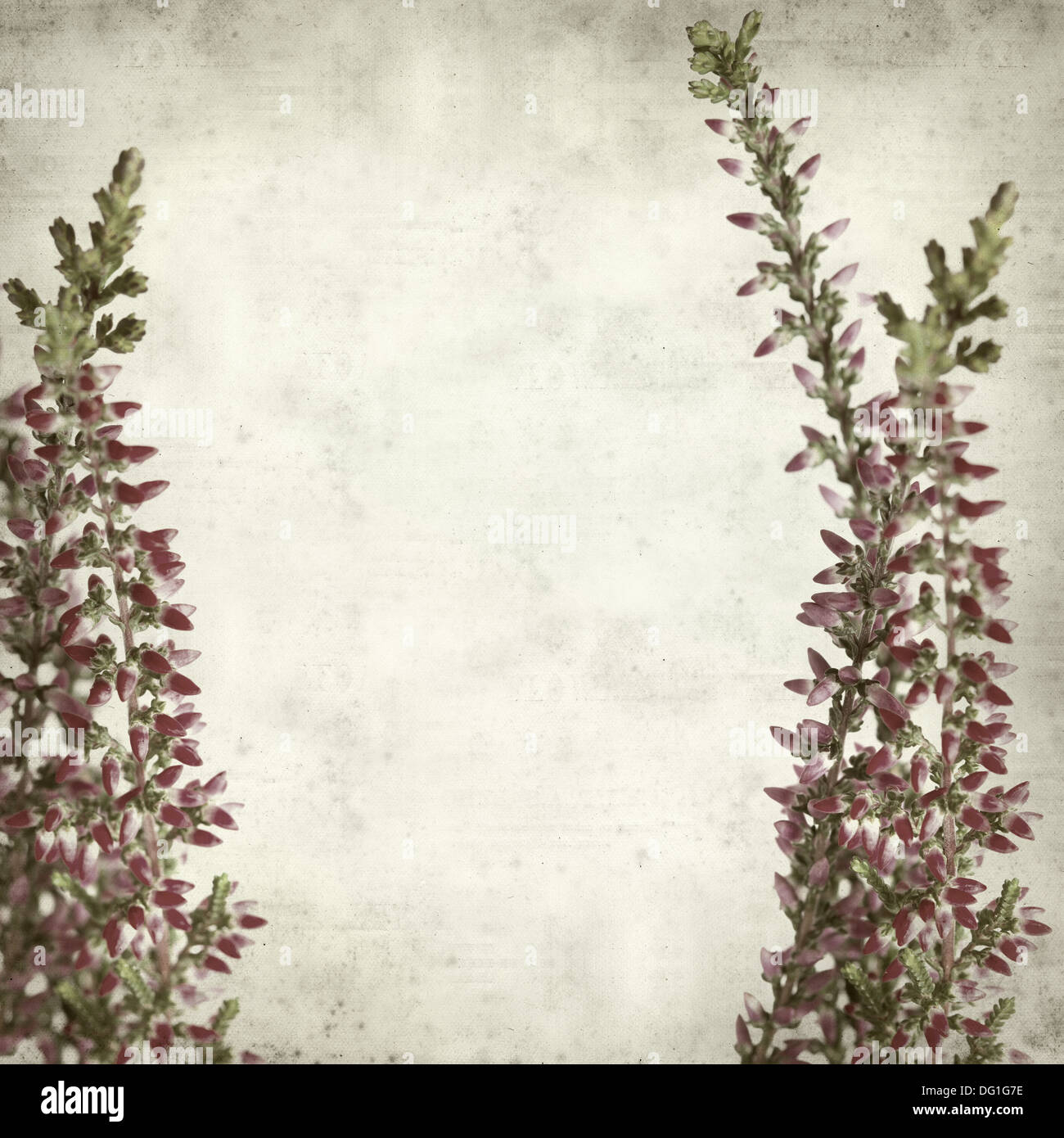 textured old paper background with heather Stock Photo - Alamy