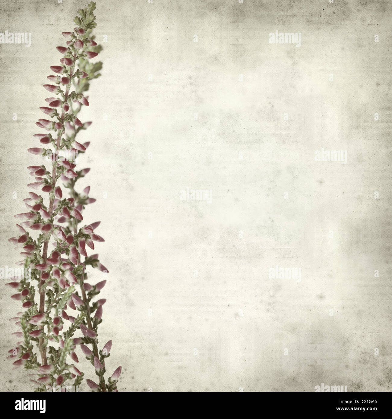 textured old paper background with heather Stock Photo - Alamy