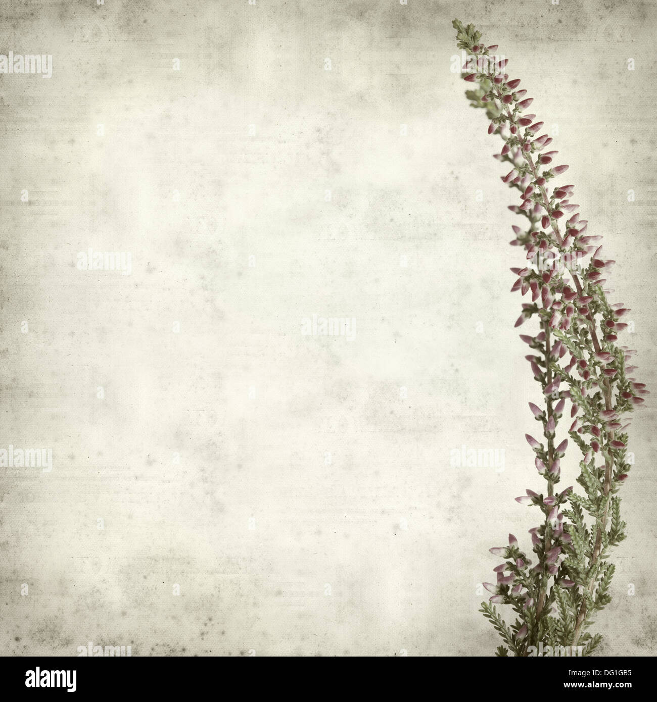 textured old paper background with heather Stock Photo - Alamy