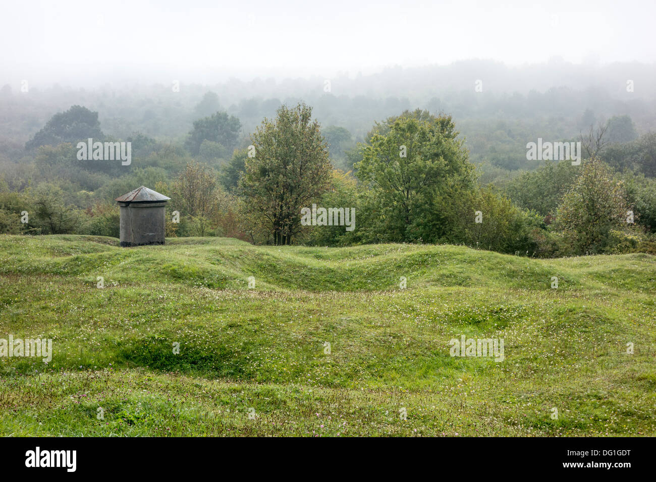 Preserved First World War One battlefield showing WW1 bomb craters near ...