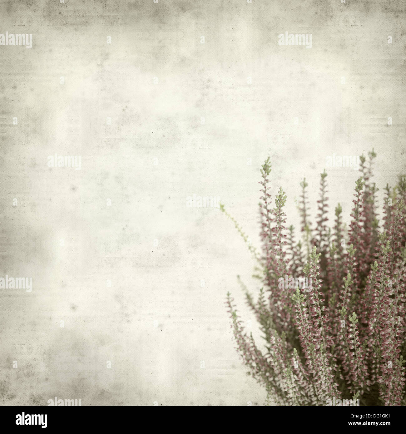 textured old paper background with heather Stock Photo - Alamy