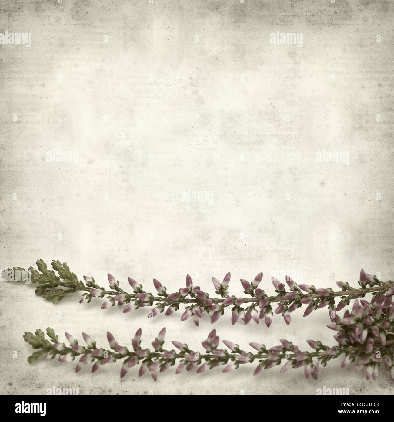 textured old paper background with heather Stock Photo - Alamy