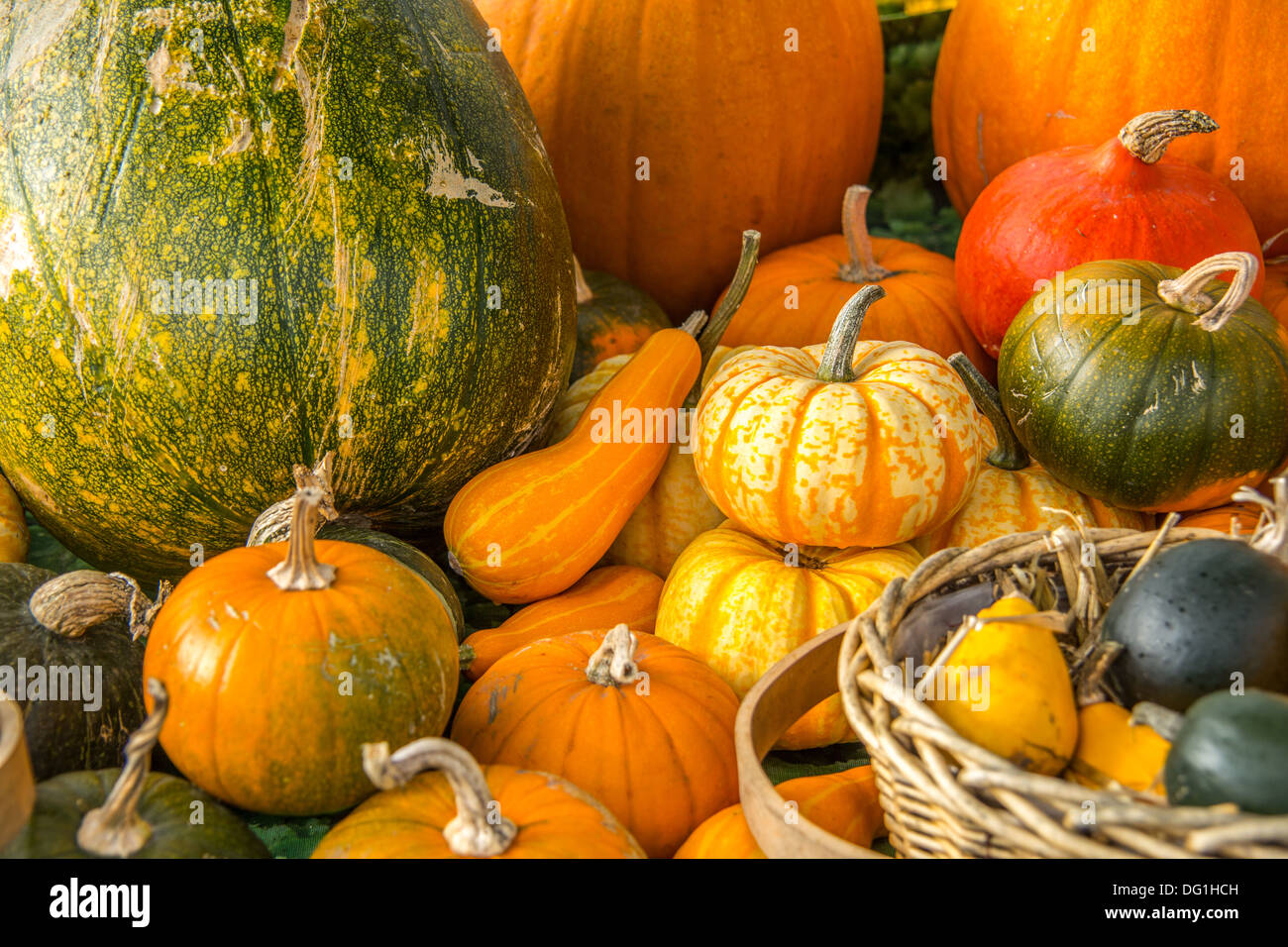 Various fruits displayed hi-res stock photography and images - Alamy