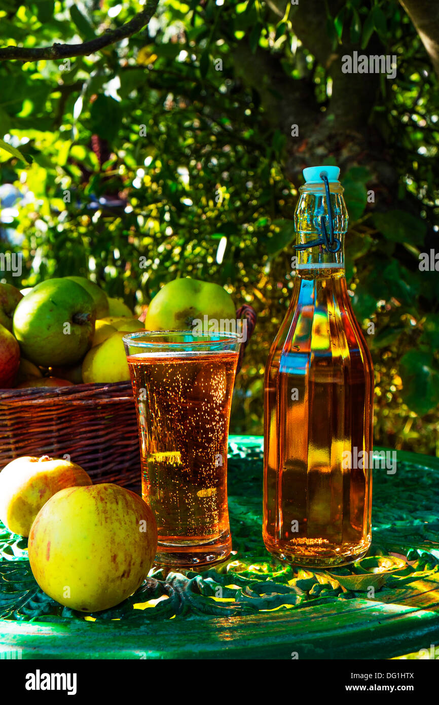 Garden still life with glass of cider, bottle of cider and cider making ...