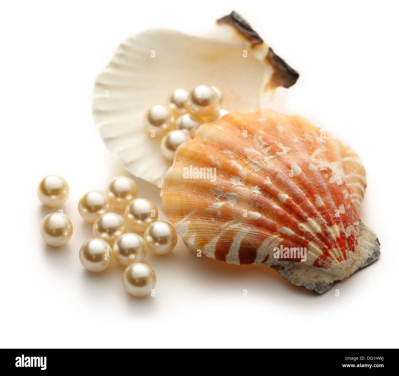 Seashell treasure hi-res stock photography and images - Alamy