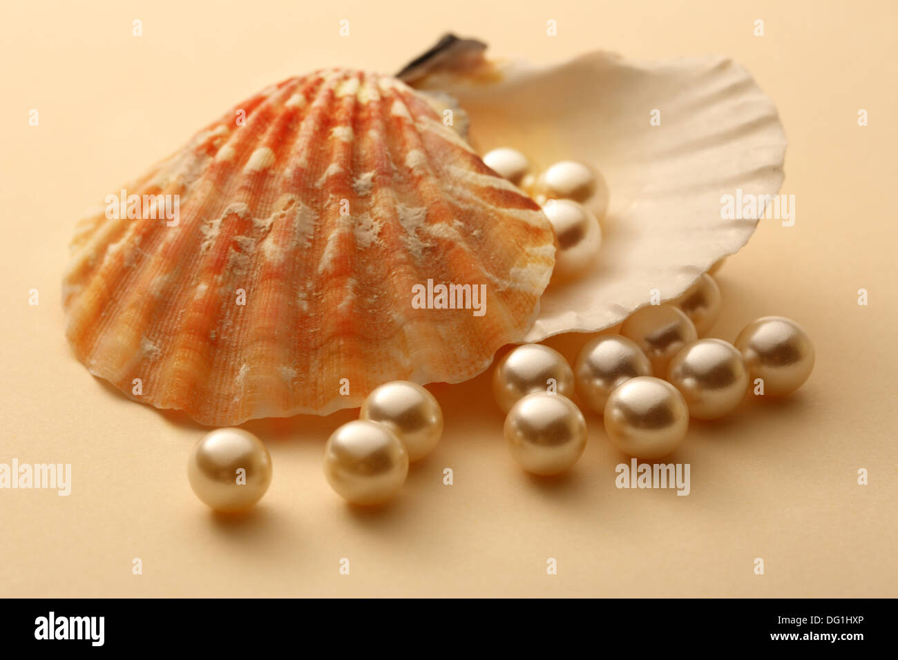 Mollusk shell pearl hi-res stock photography and images - Alamy