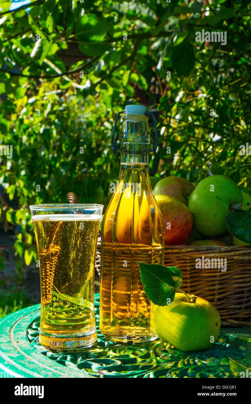 Garden still life with glass of cider, bottle of cider and cider making ...