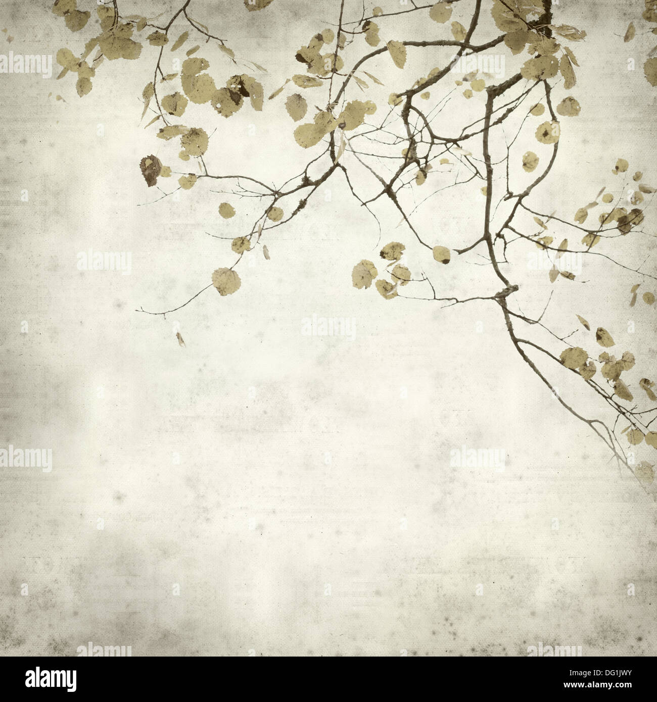 textured old paper background with autumnal aspen Stock Photo - Alamy