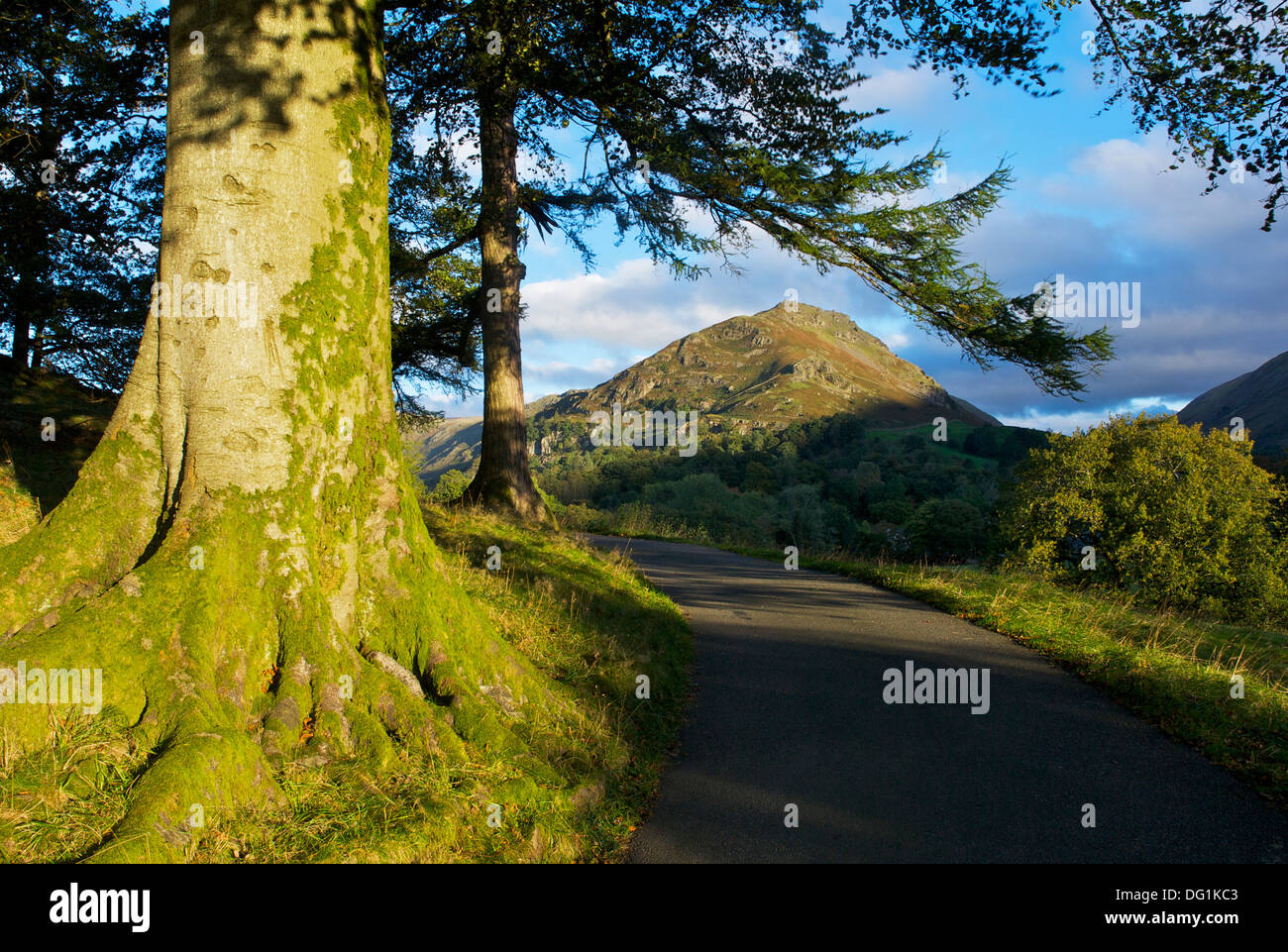 Helm Crag, near Grasmere, Lake District National Park, Cumbria, England ...