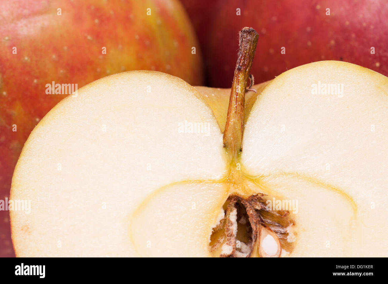 Apple Boskoop Variety High Resolution Stock Photography and Images - Alamy