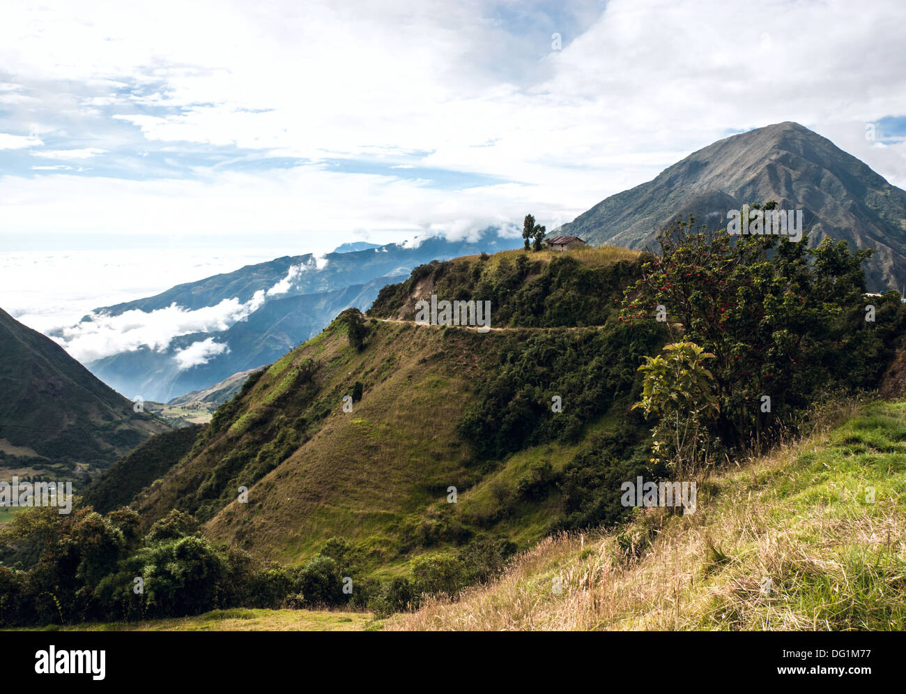 Andes forest ecuador hi-res stock photography and images - Alamy