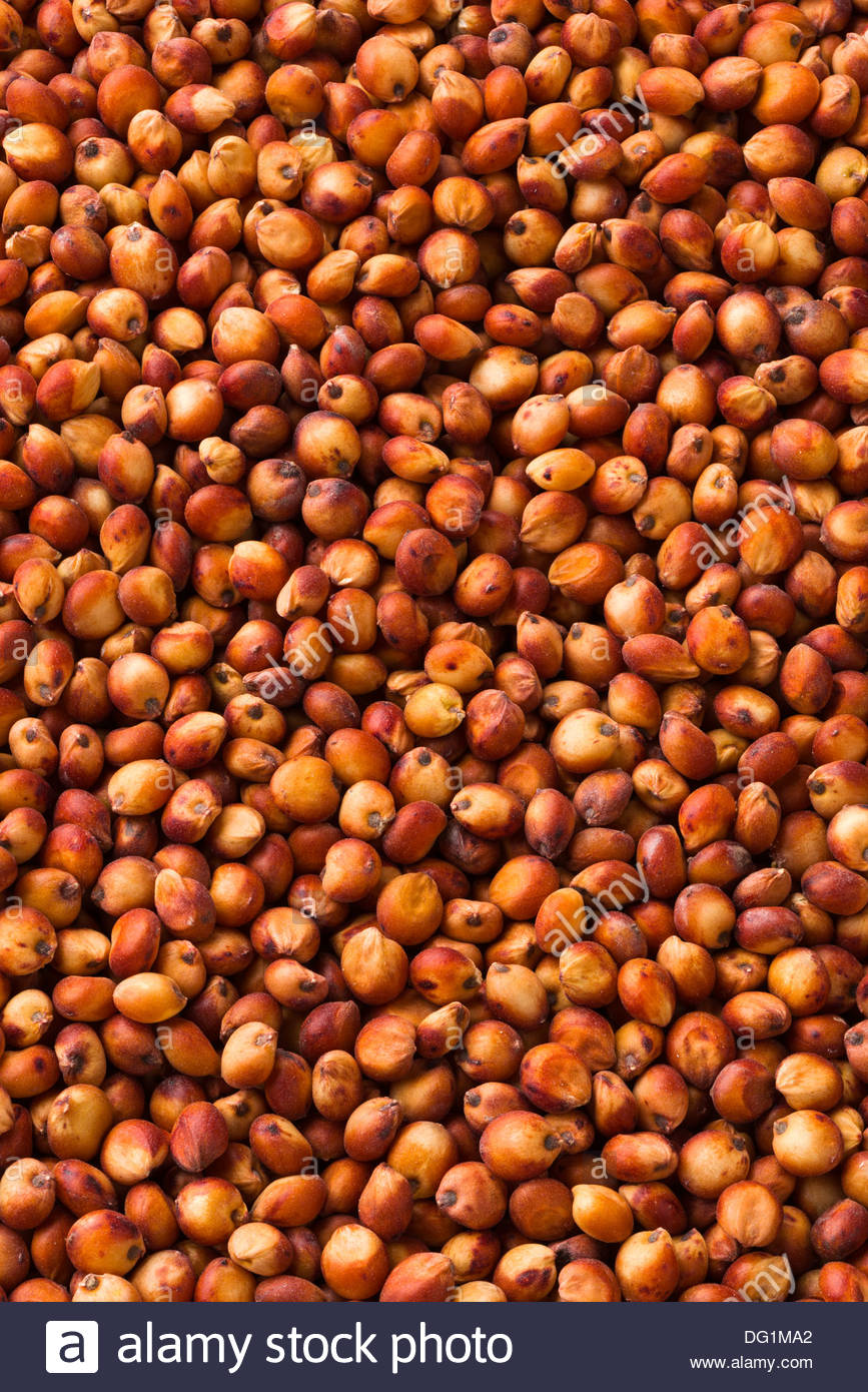 Sorghum Seeds Stock Photos & Sorghum Seeds Stock Images - Alamy