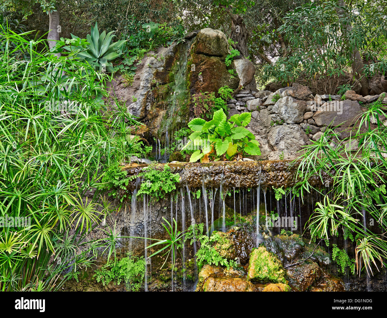 Tiny waterfall in botanical garden Stock Photo - Alamy