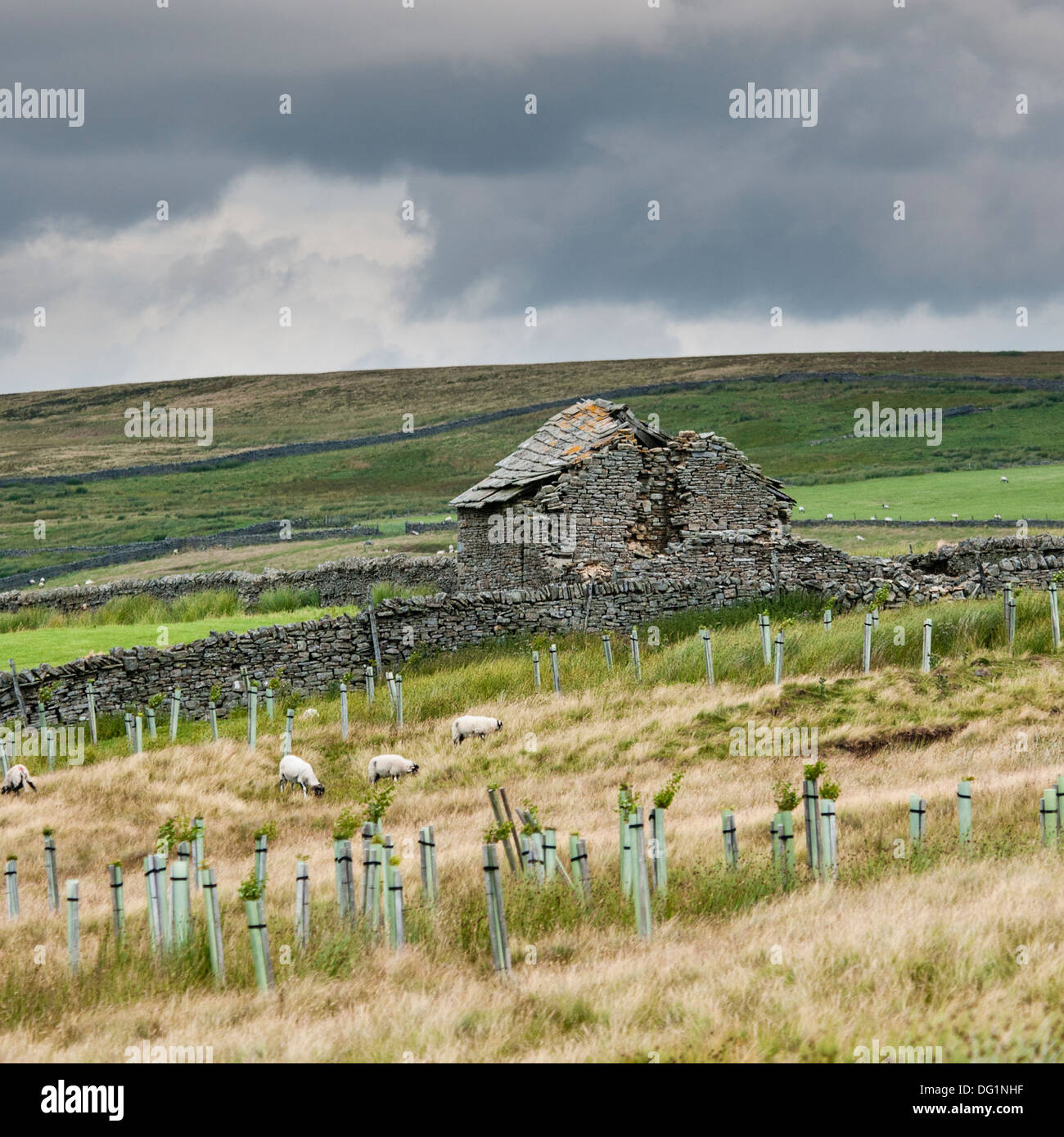 Building on hillside hi-res stock photography and images - Alamy