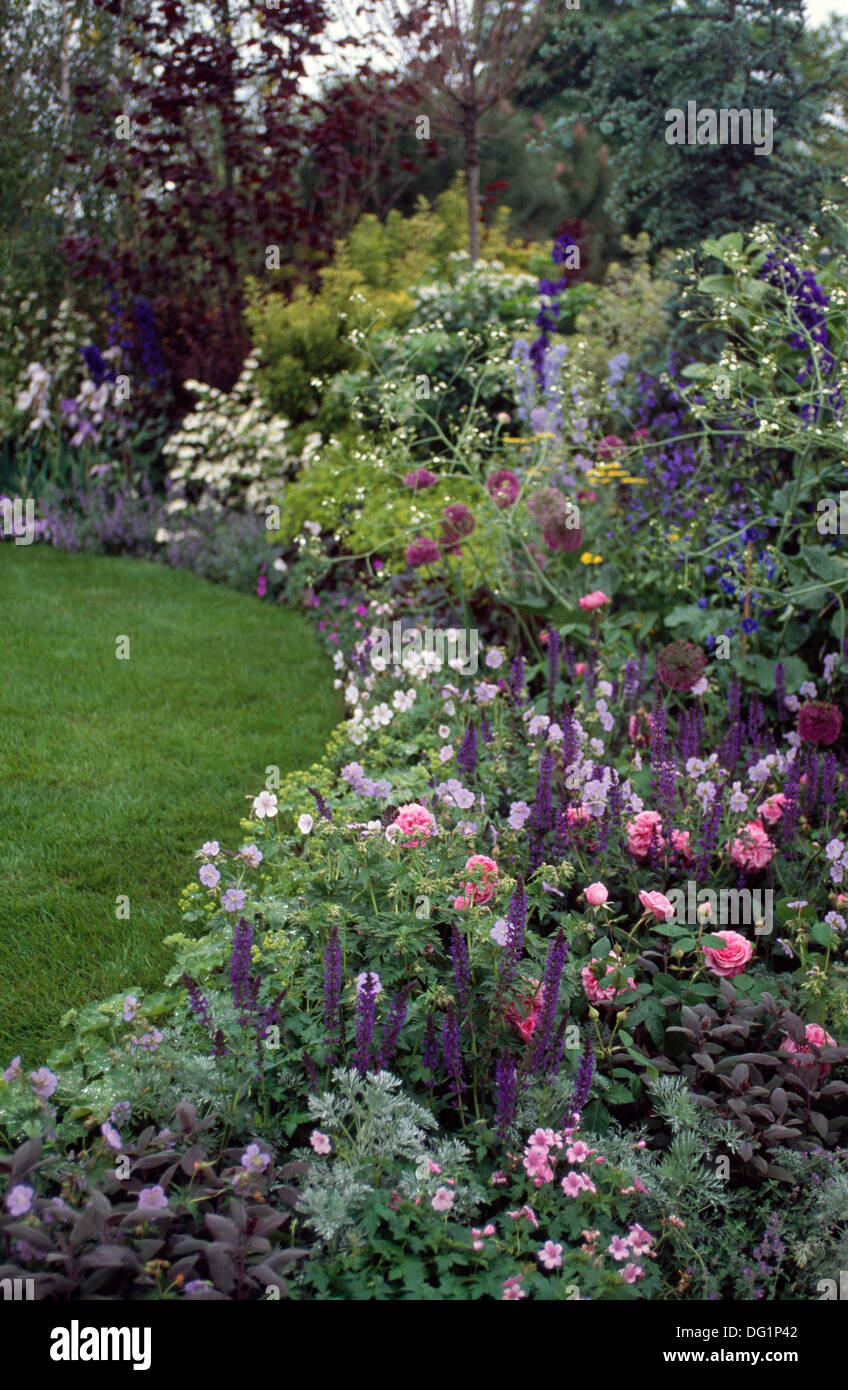 Pink roses and blue salvia in well stocked summer garden border Stock ...