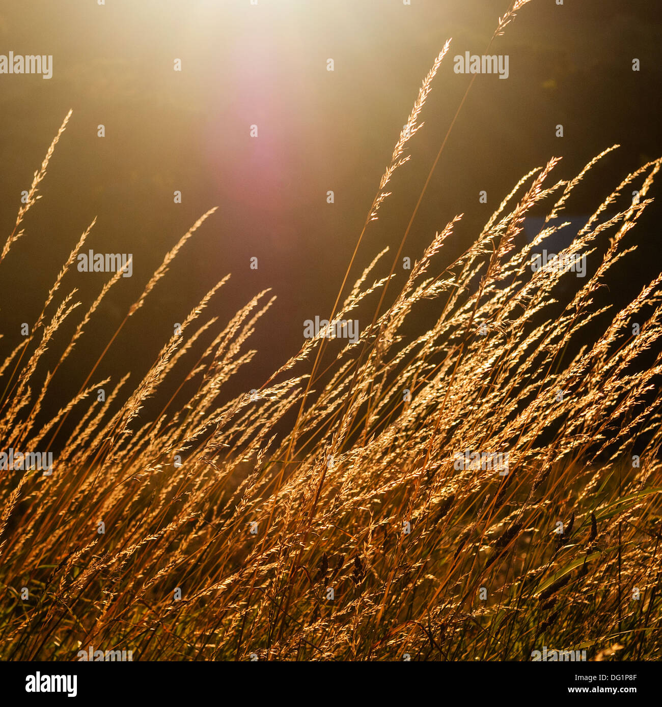 The sun square hi-res stock photography and images - Alamy