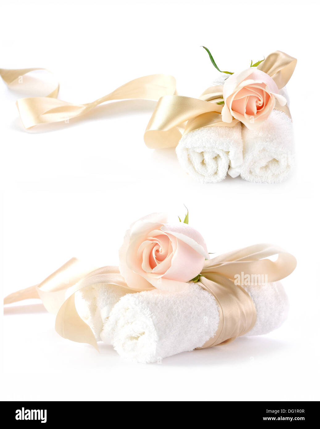 Hotel rose Cut Out Stock Images & Pictures - Alamy