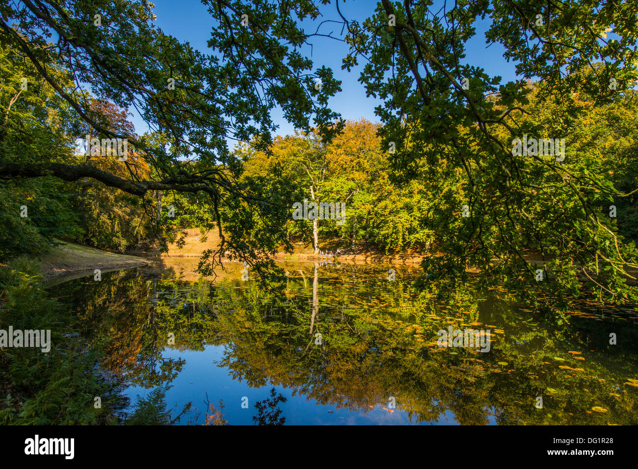 Overveen hi-res stock photography and images - Alamy