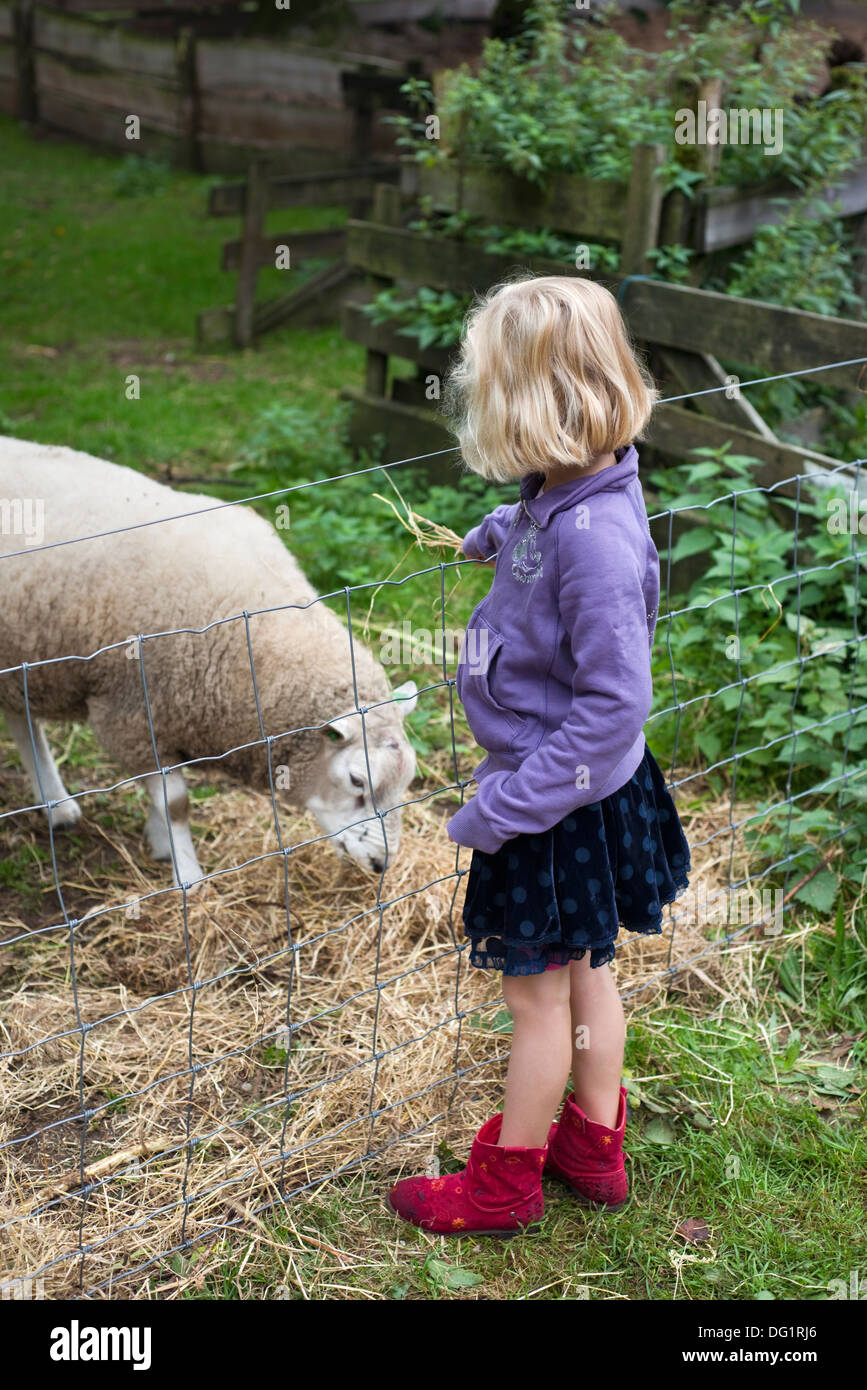Girl feeding farm animal hi-res stock photography and images - Alamy