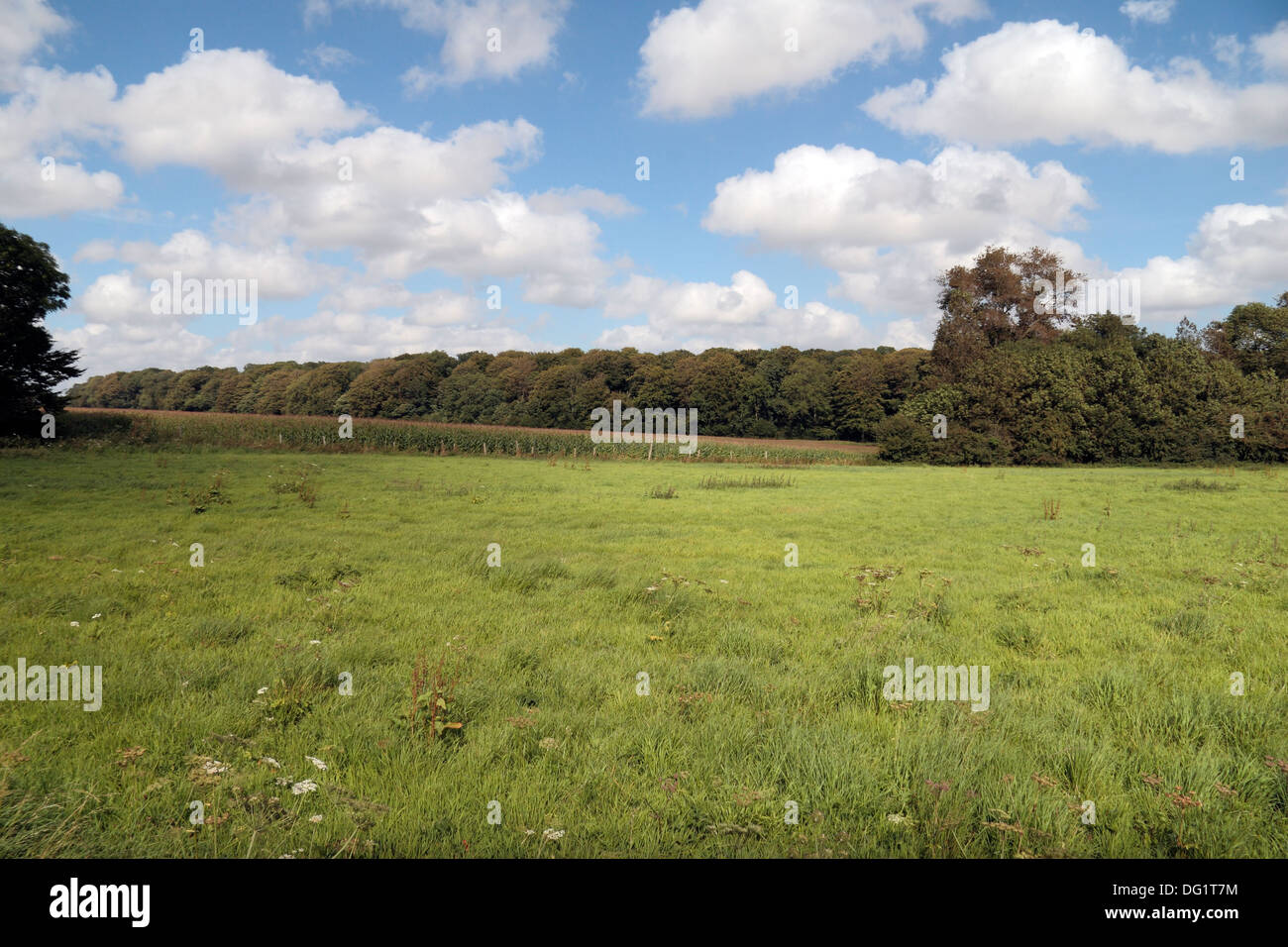 Agincourt battlefield hi-res stock photography and images - Alamy