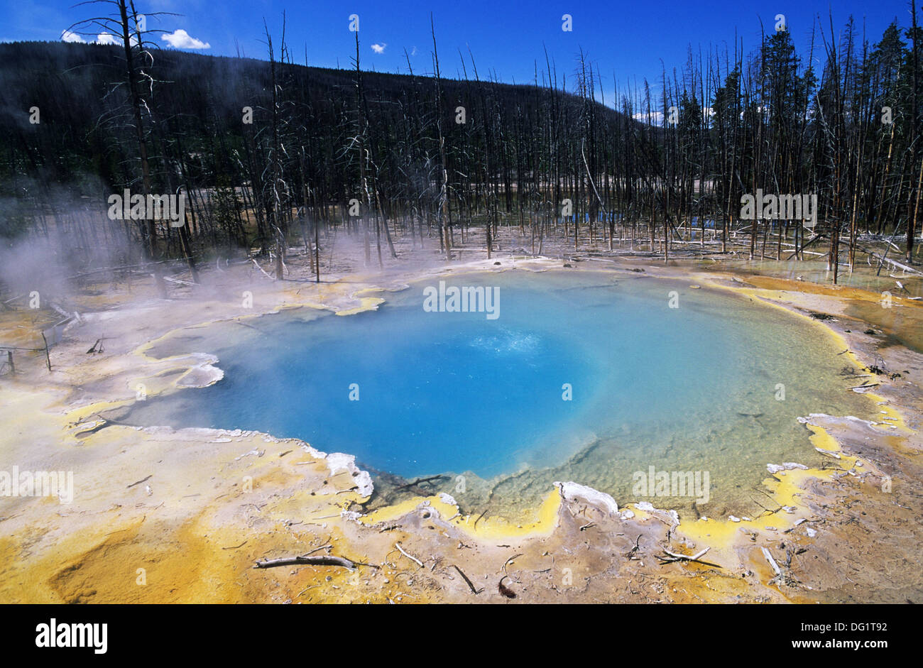 Cistern spring in yellowstone hi-res stock photography and images - Alamy