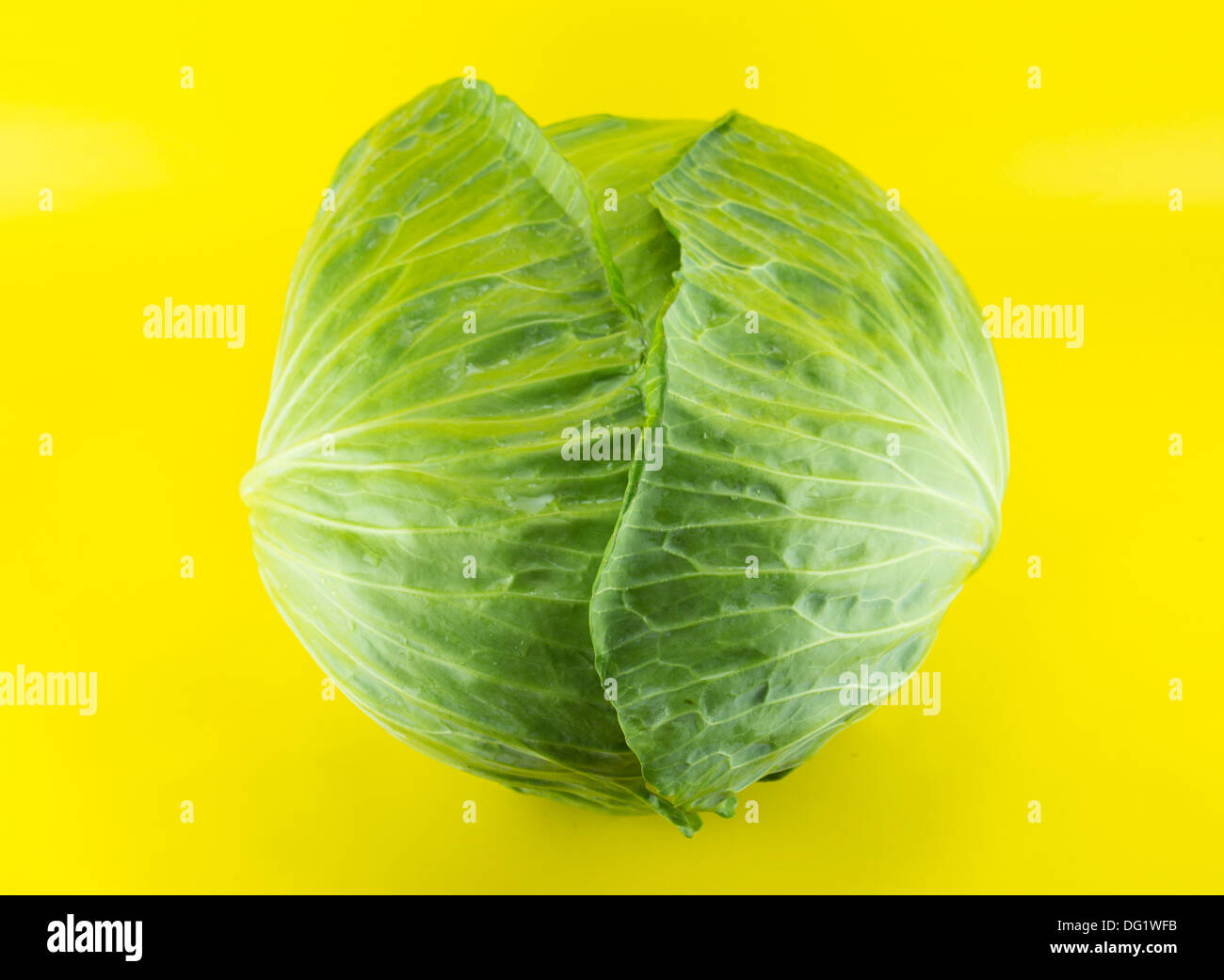 Fresh green cabbage on yellow background Stock Photo - Alamy
