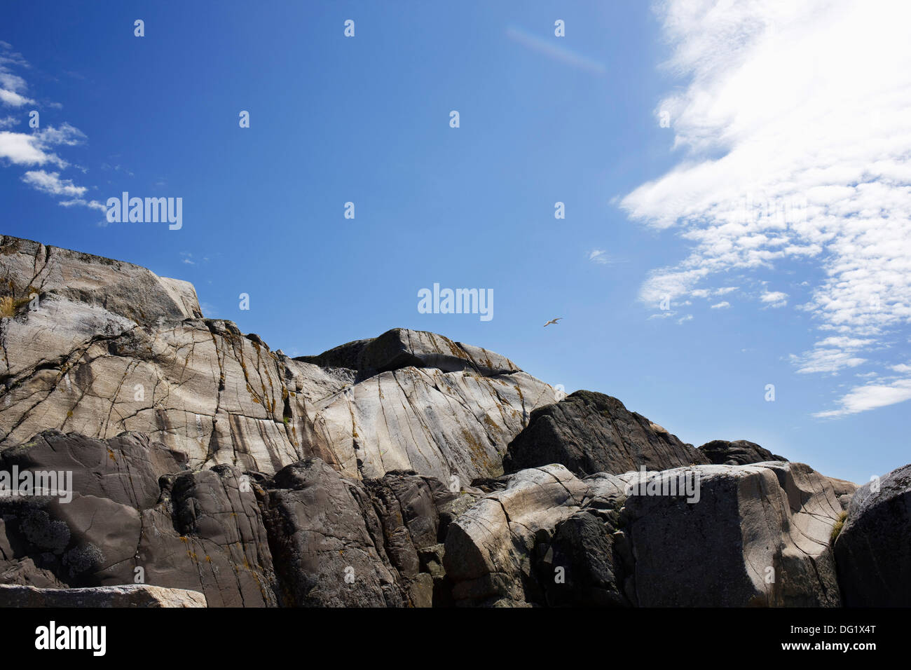 Animal formations hi-res stock photography and images - Alamy