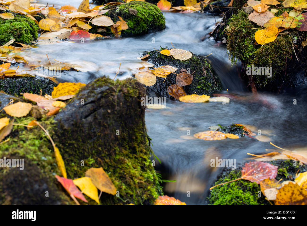 Small stream flow between mossy rocks to lake Stock Photo - Alamy