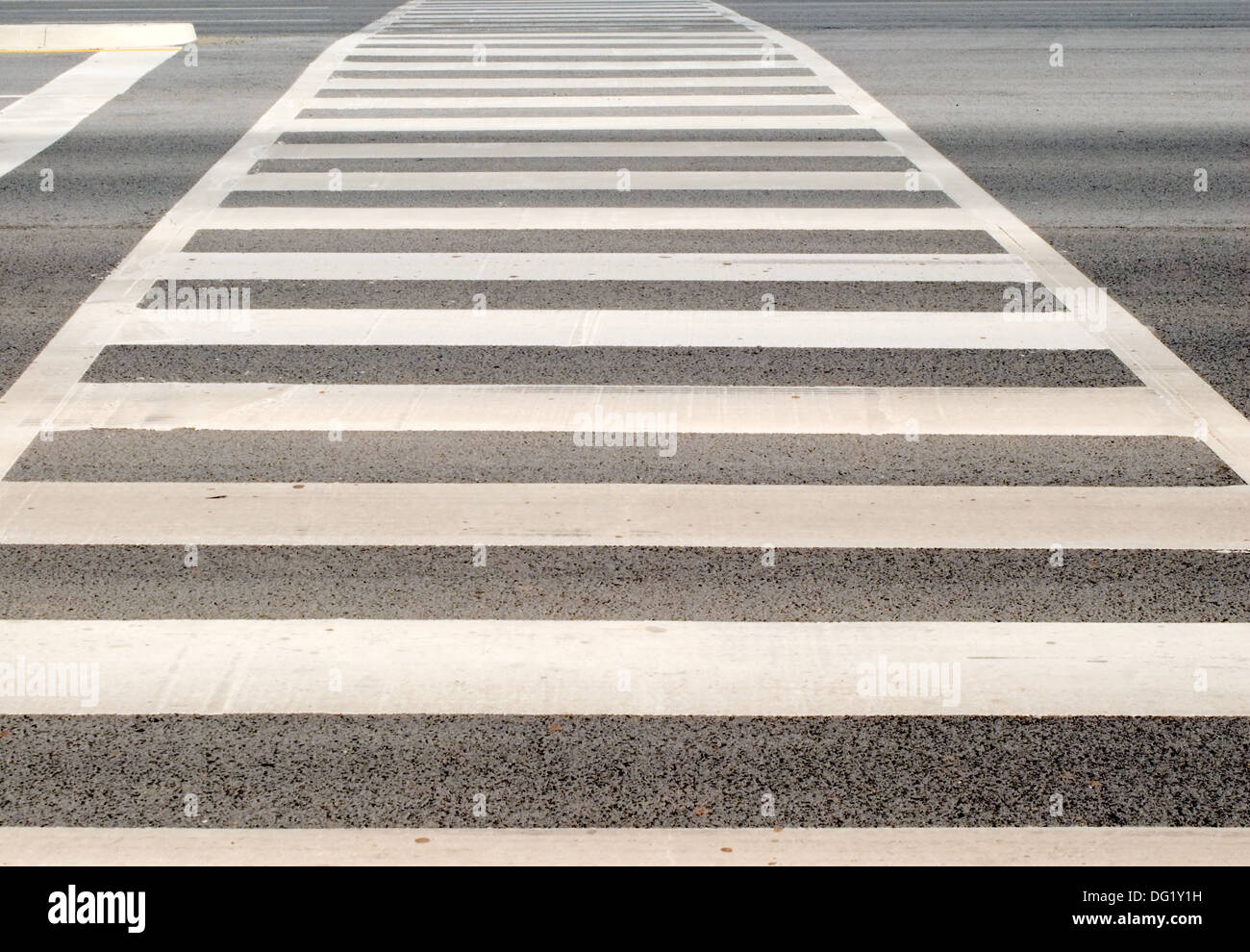 Empty white pedestrian zebra crosswalk on asphalt Stock Photo - Alamy