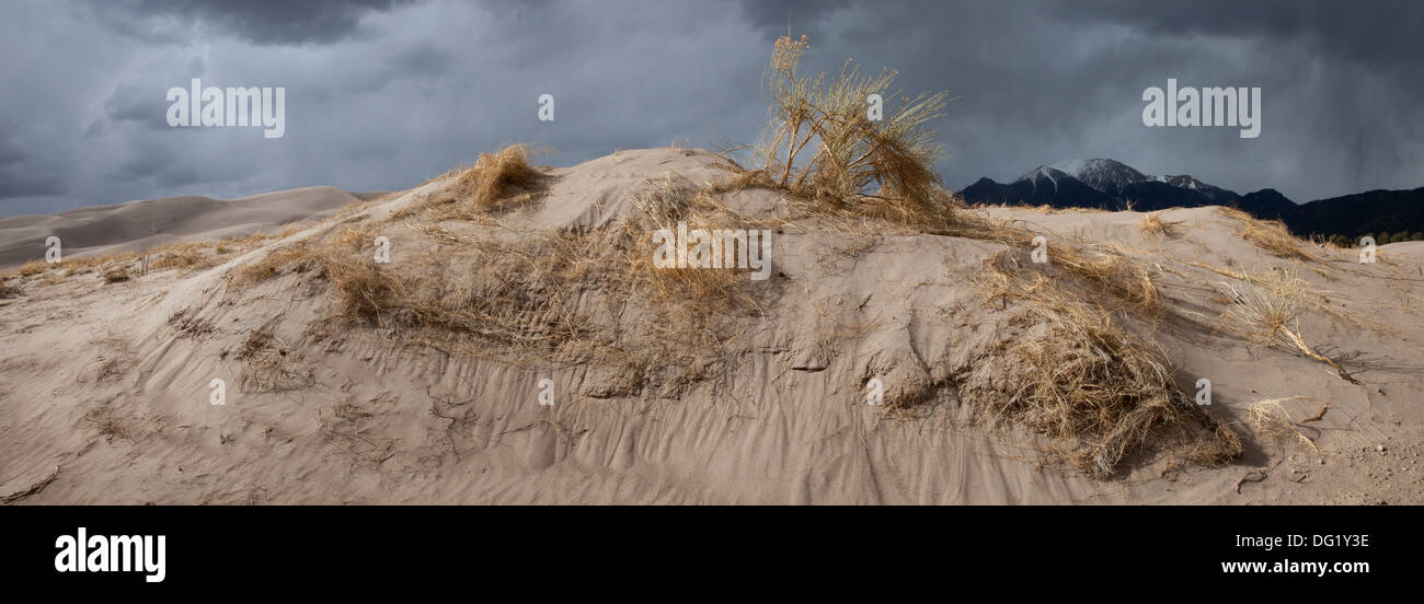 The dunes area of Great Sand Dunes National Park, Colorado Stock Photo ...
