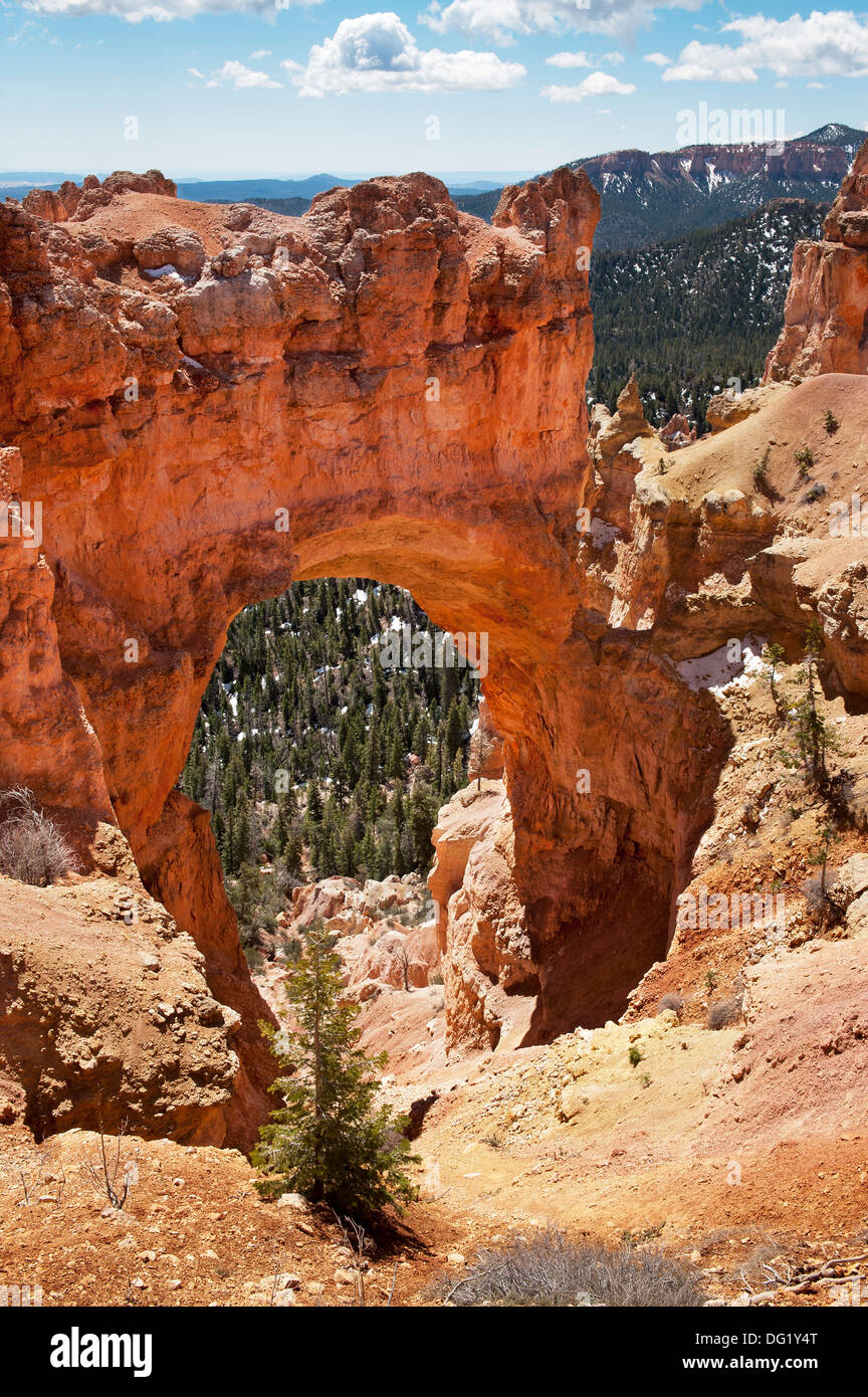 Bryce Canyon Arch Stock Photo - Alamy