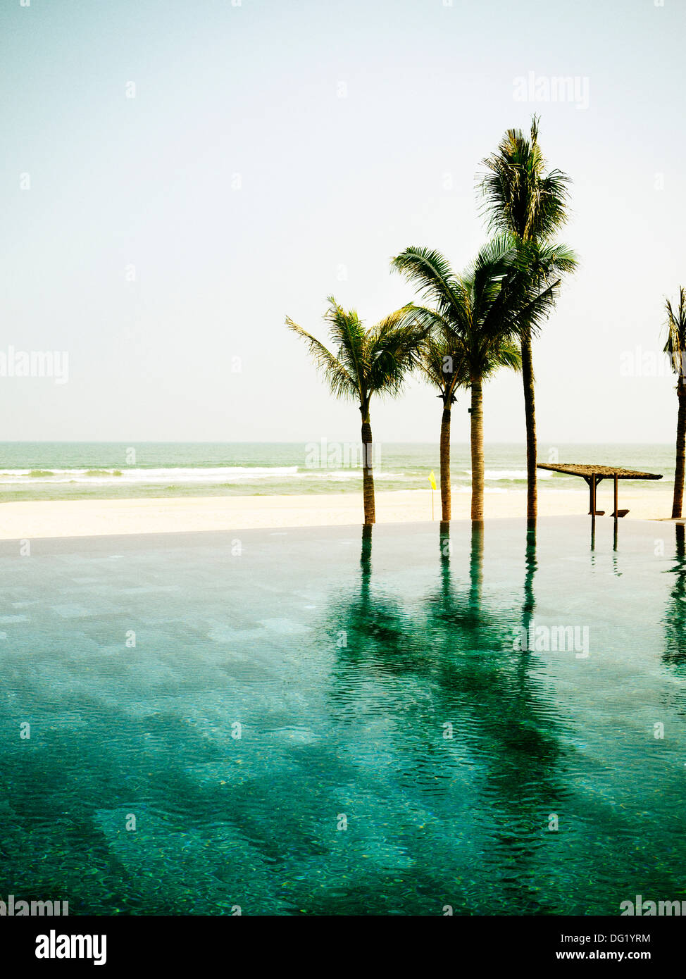 Infinity Pool and Palm Trees on Beach Stock Photo - Alamy