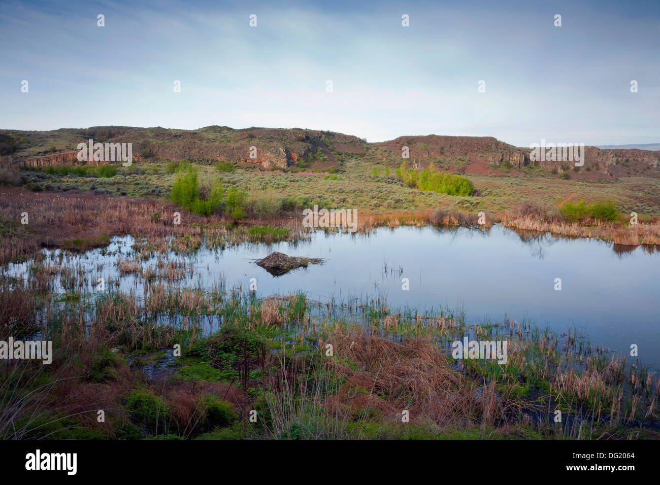 WASHINGTON - Small pond along the Dusty Lake Trail in the Quincy ...