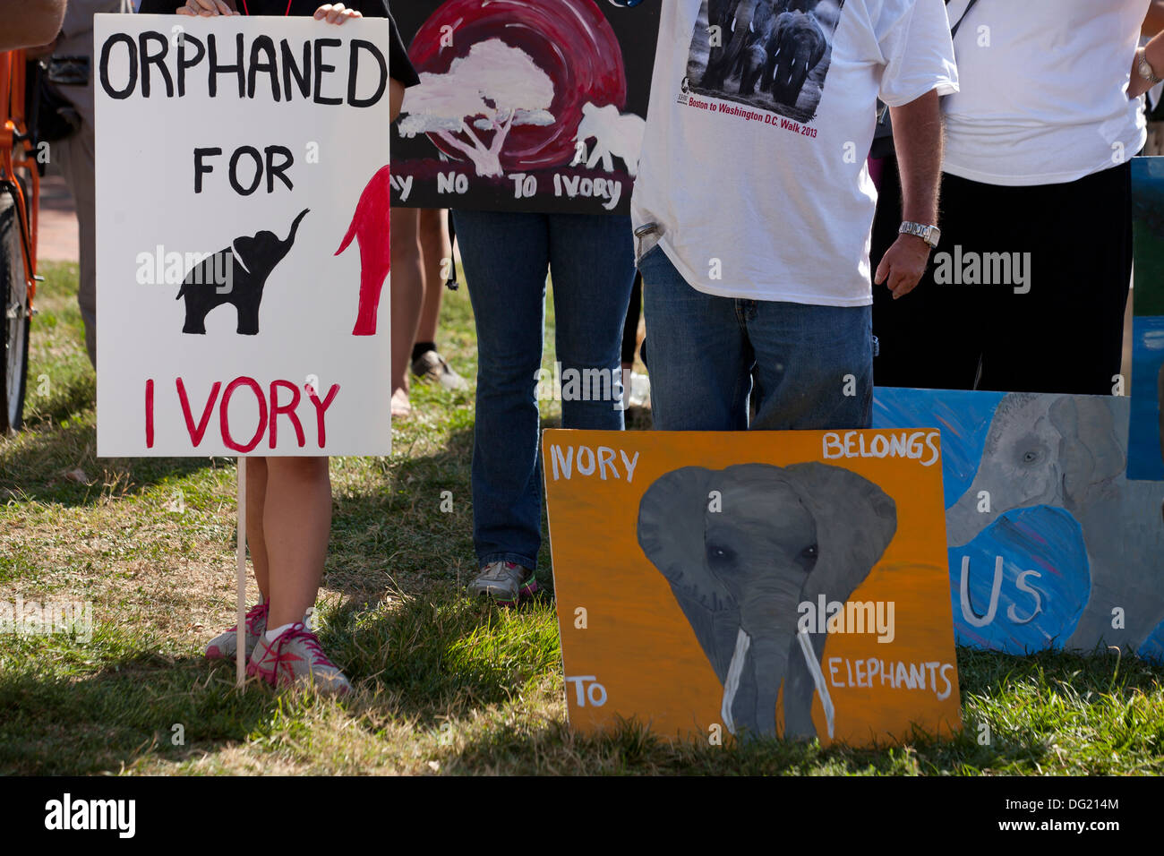 Elephant March demonstrators holding up signs protesting against ...