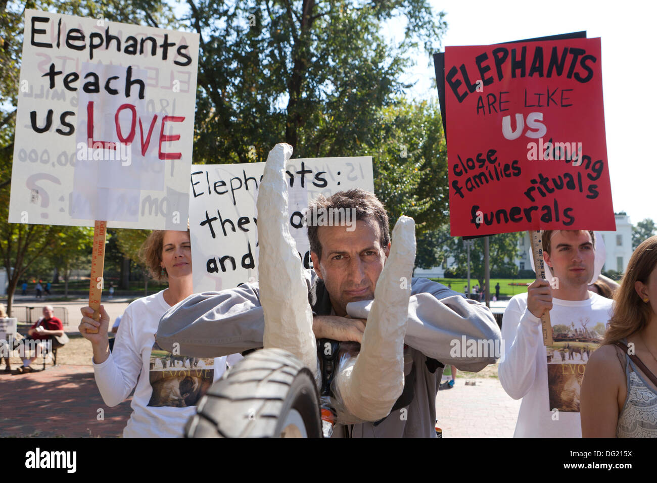 Elephant March demonstrators holding up signs protesting against ...